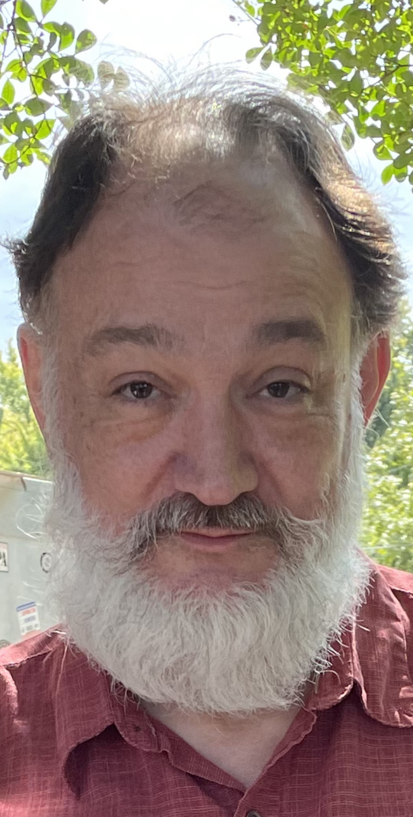 'A dreadful cyclone that came this way’ — the legacy of Rye Cove ...