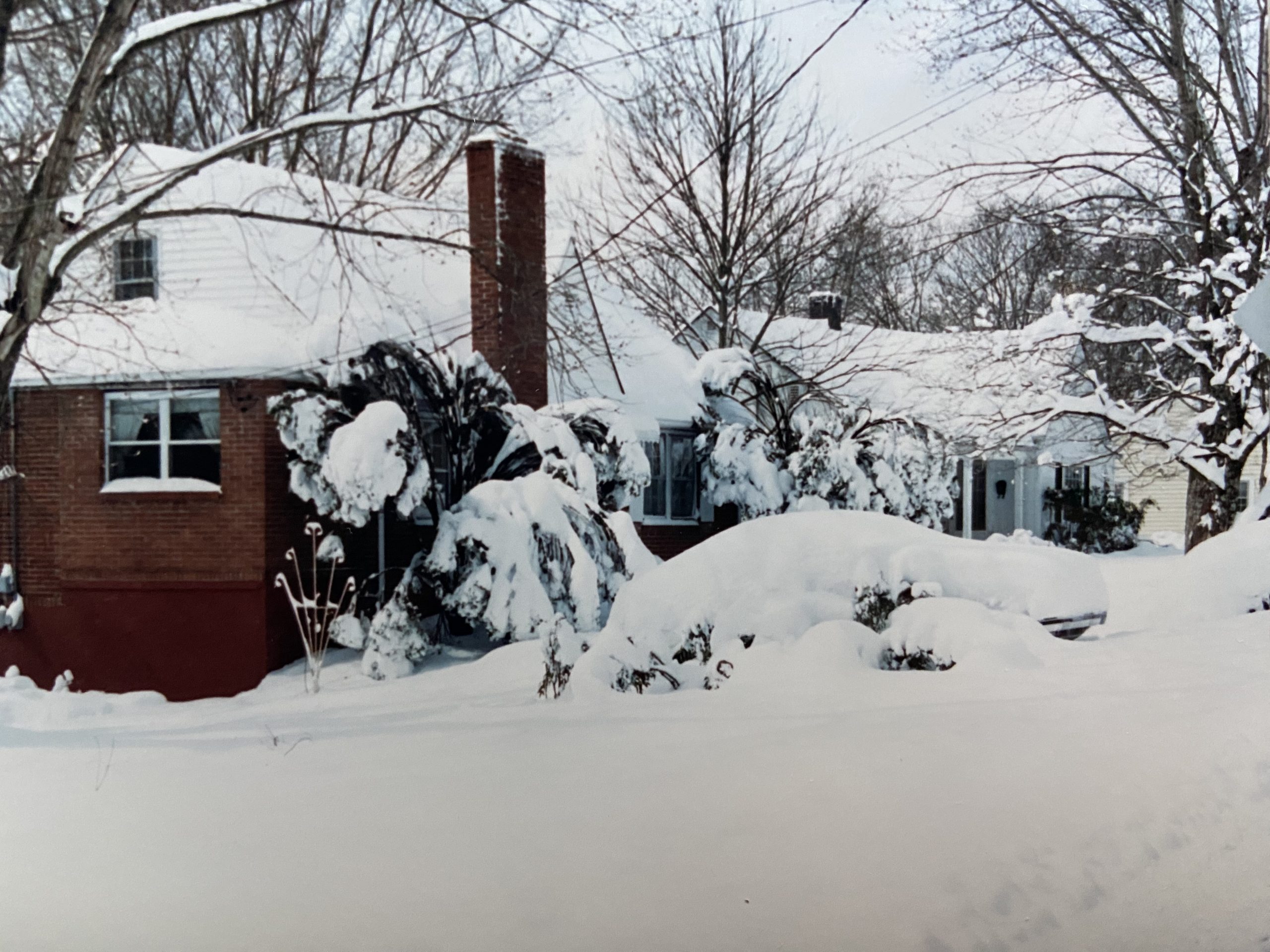 Looking back at Blizzard of 1993 as this March turns colder - Cardinal News