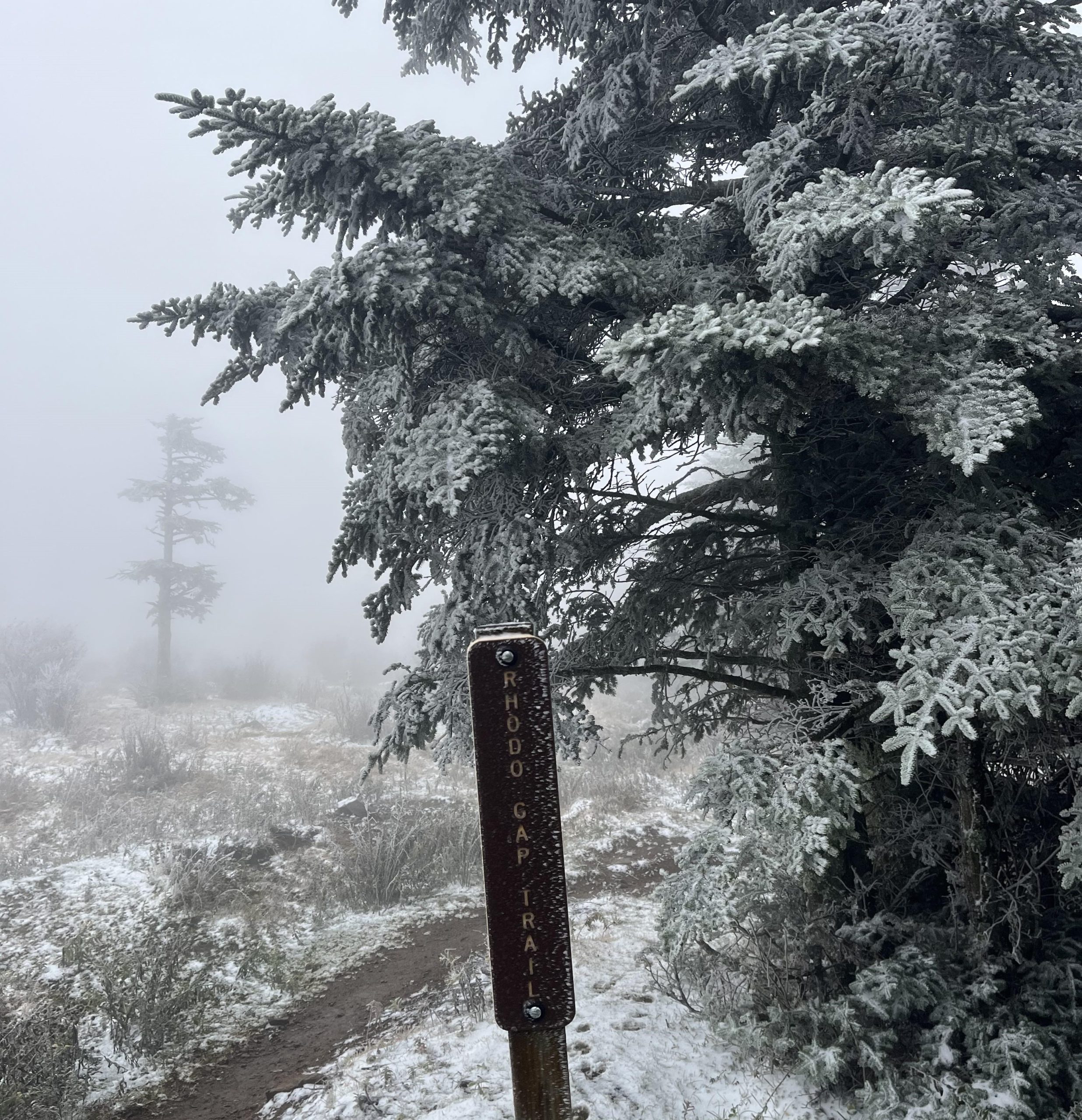 Virginia saw its first snowfall this week - Cardinal News