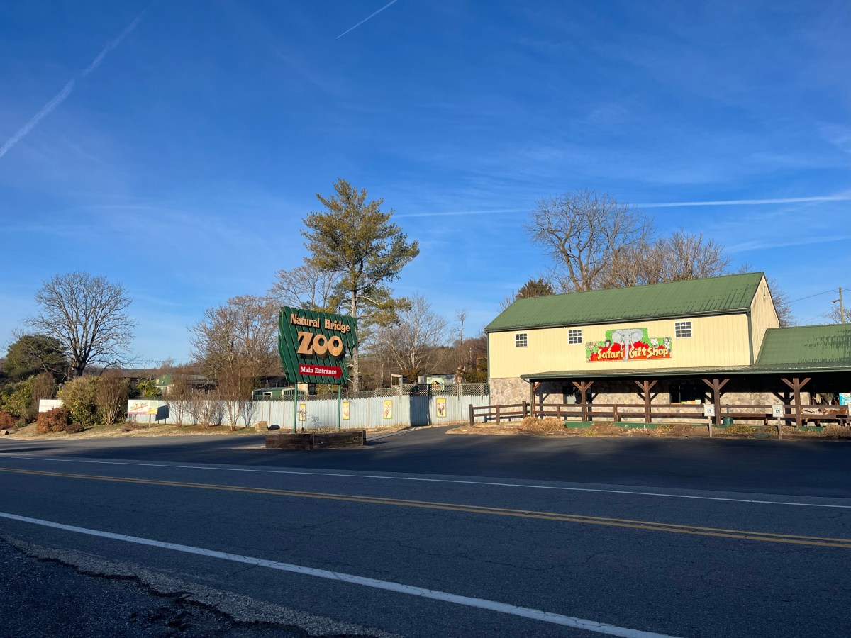 Jury mostly rules against Natural Bridge Zoo in animal custody case ...