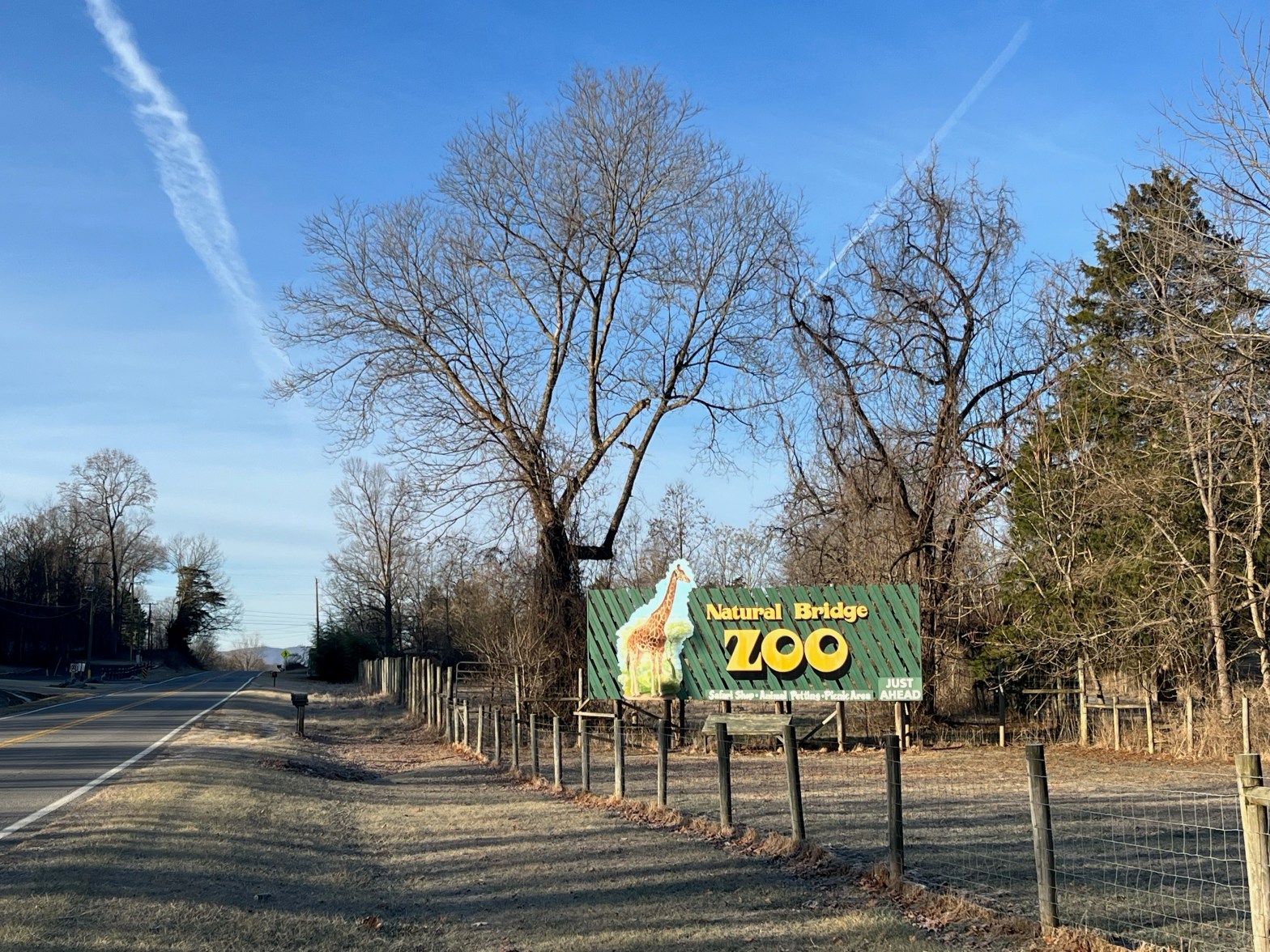 Natural Bridge Zoo owners can have animals in future, judge says; cost ...