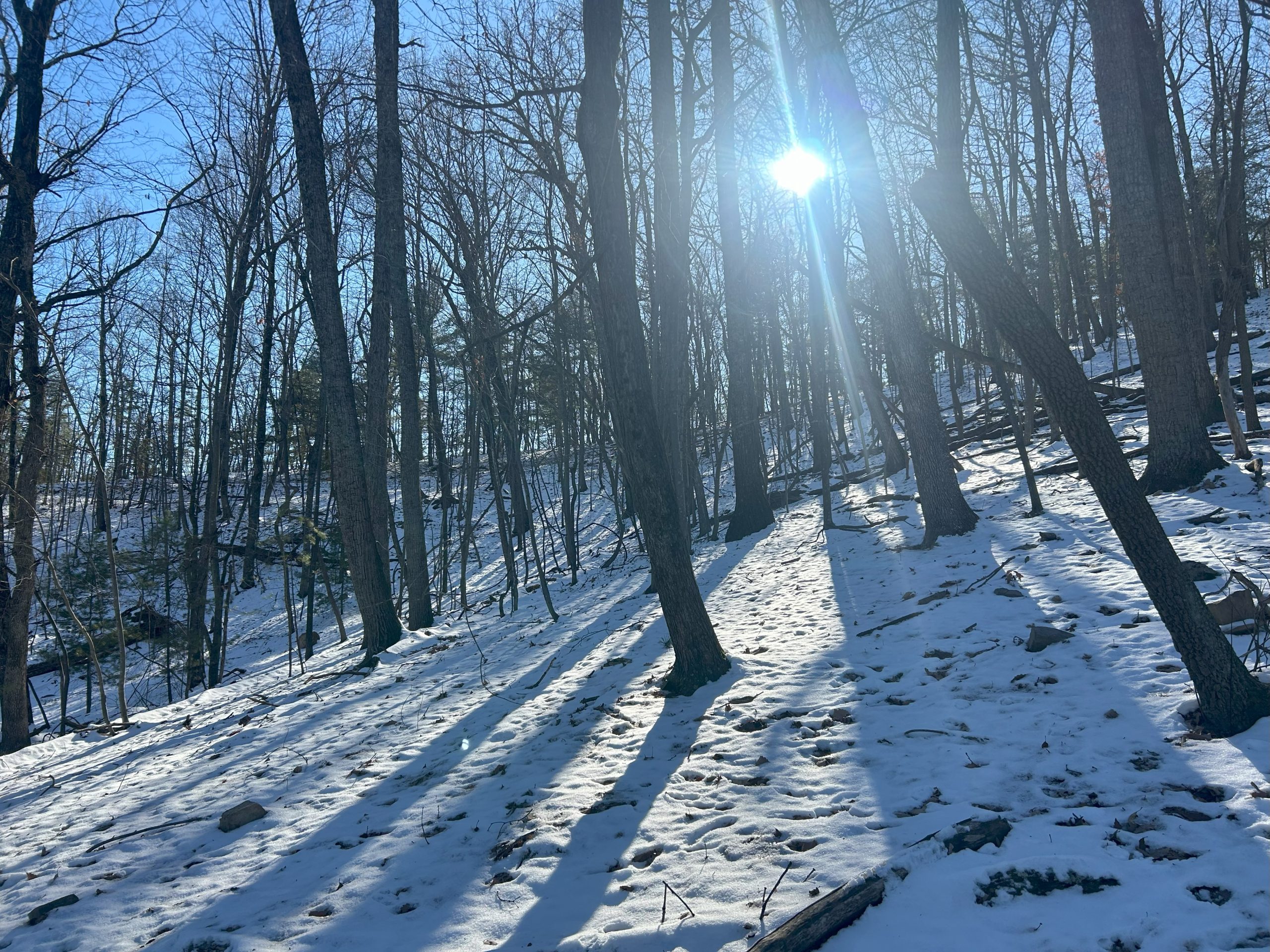 A look back at a snowstorm Virginia's February 2014 snowstorm ...
