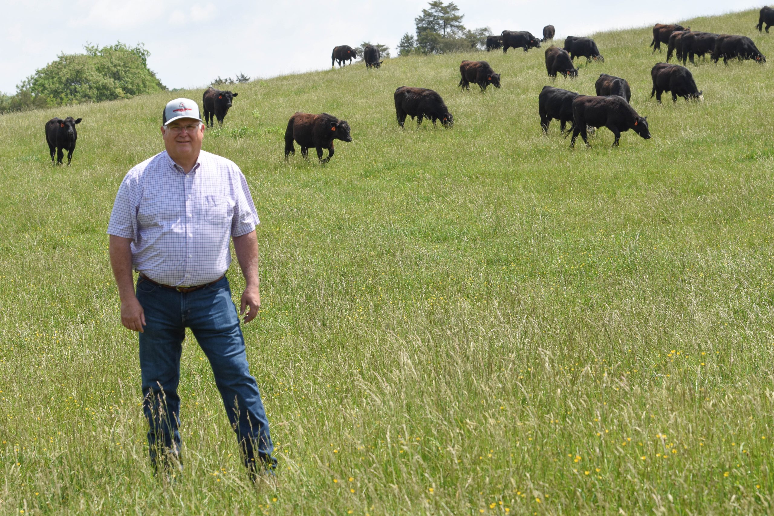 A fifth-generation Washington County cattle farmer talks about the joys ...