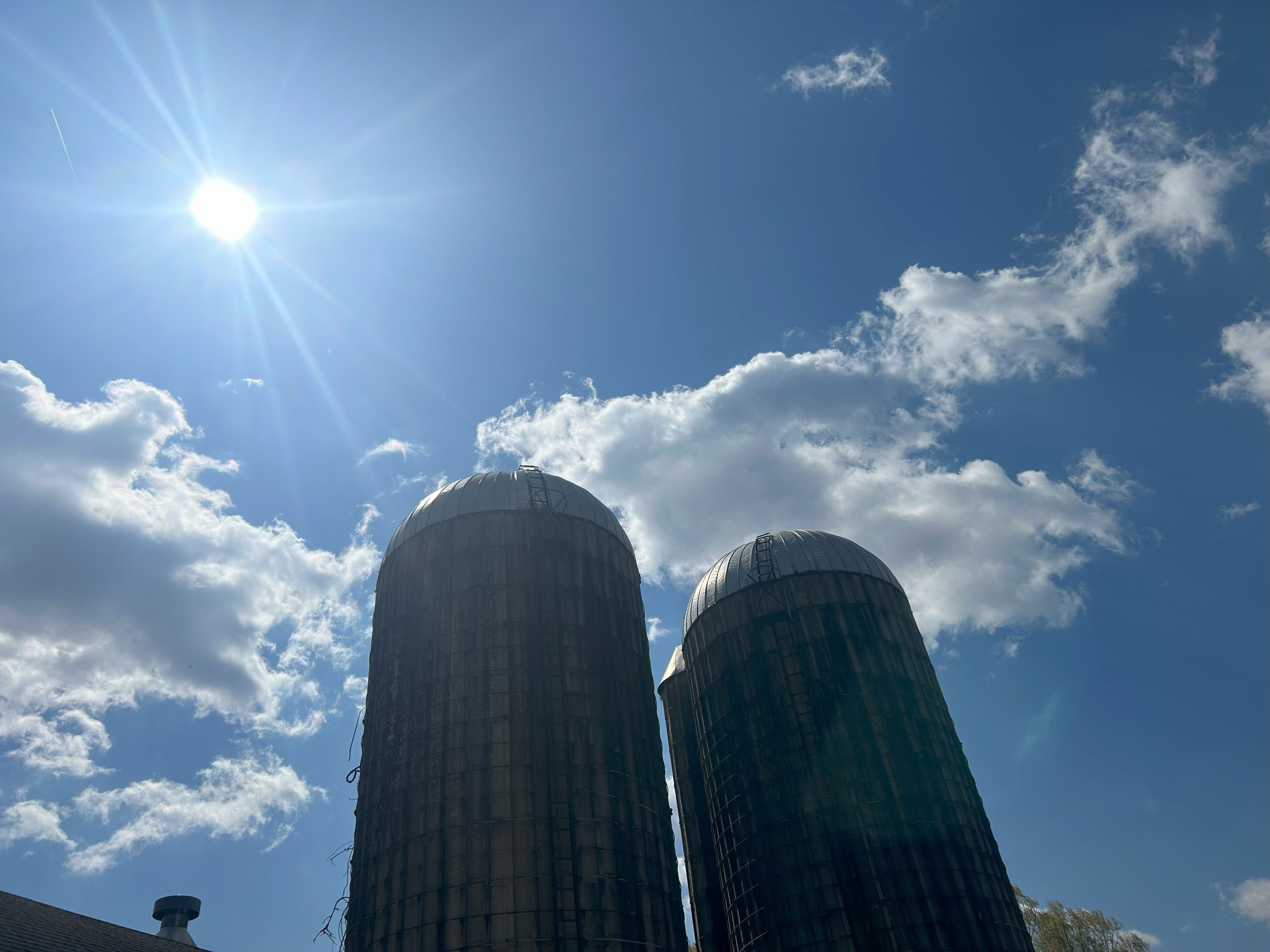 El Niño to La Niña transition may signal summer sizzle - Cardinal News