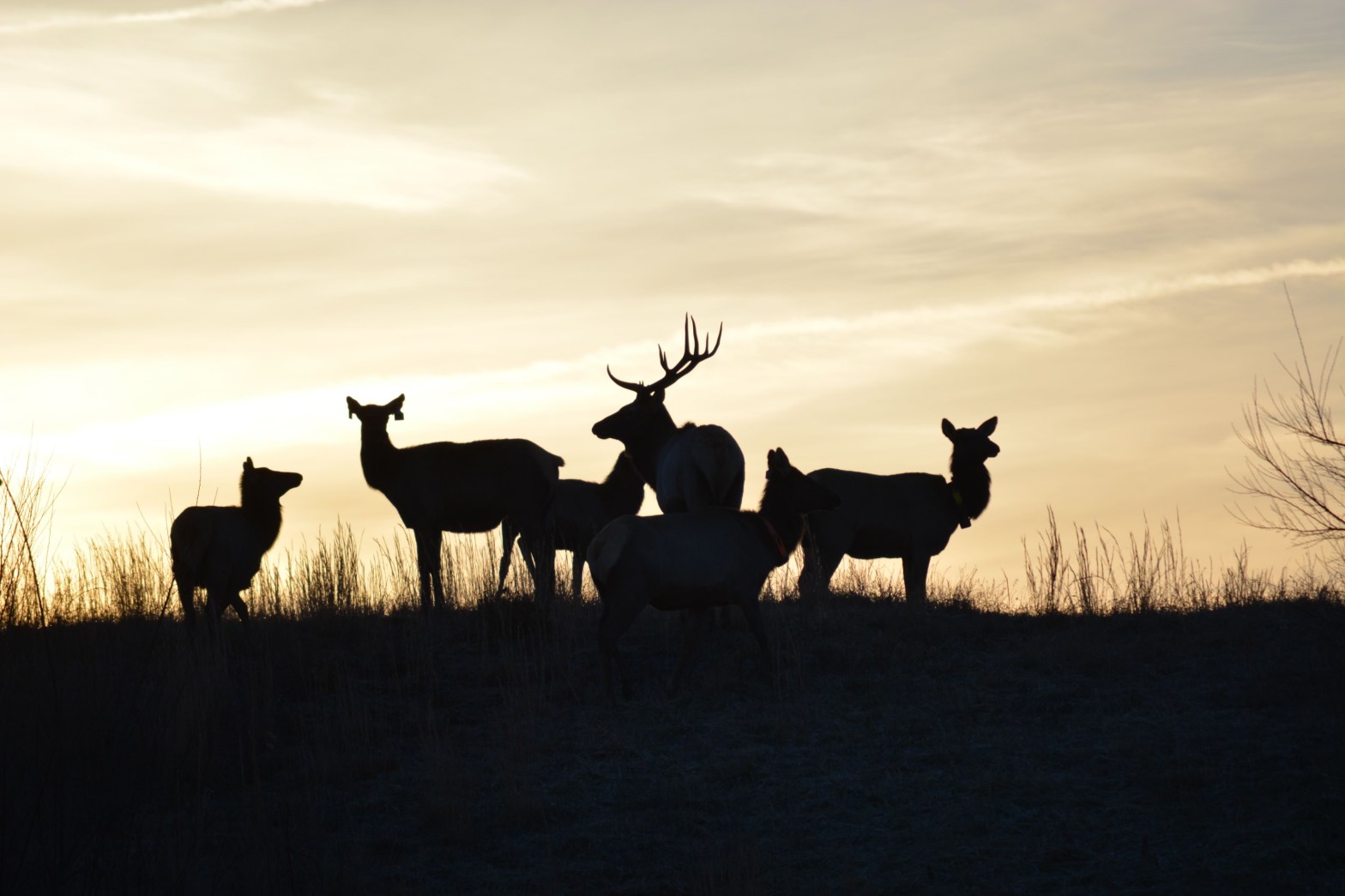 Frank Kilgore, Southwest Virginia's 'unofficial chamber of commerce ...