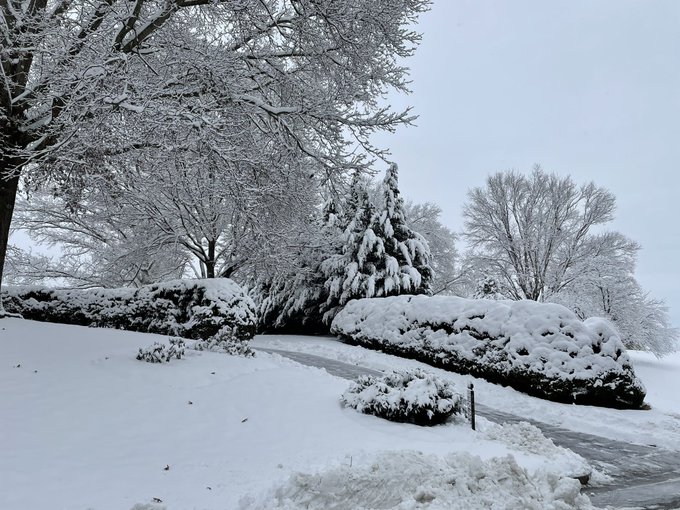 Winners of the 2023-24 snowfall contest. - Cardinal News