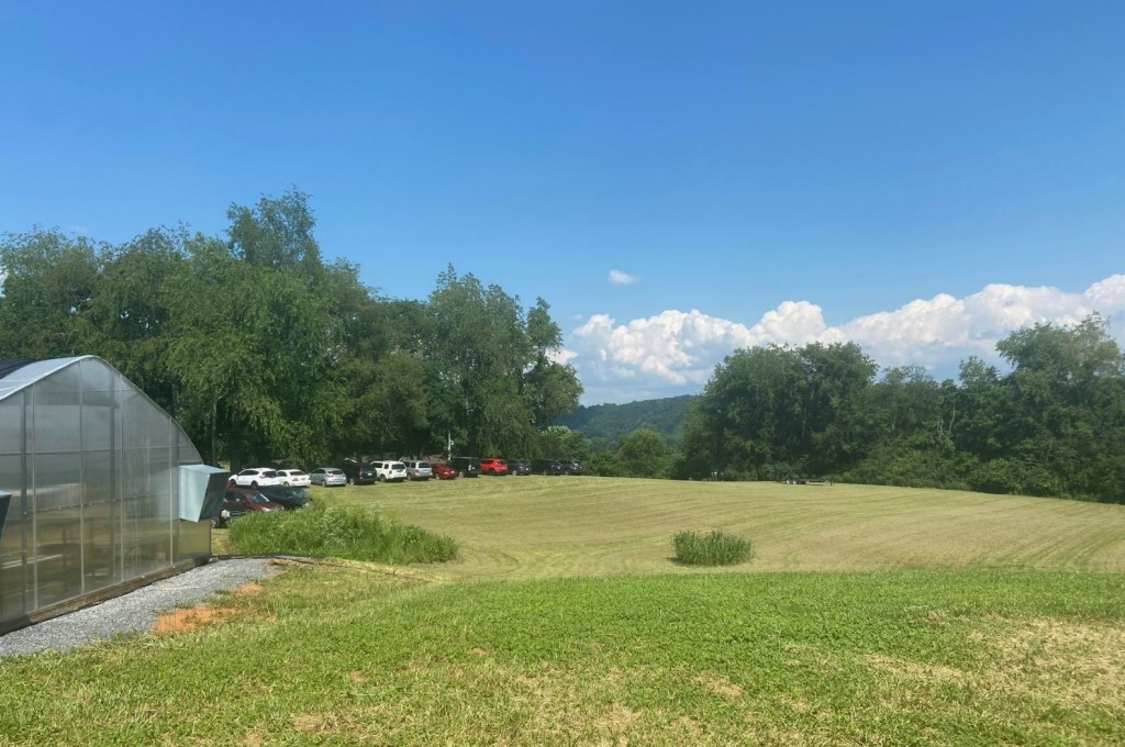 Economy - Cardinal News