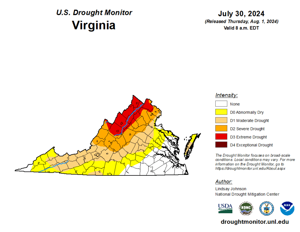 What Tropical Storm Debby means for Virginia - Cardinal News
