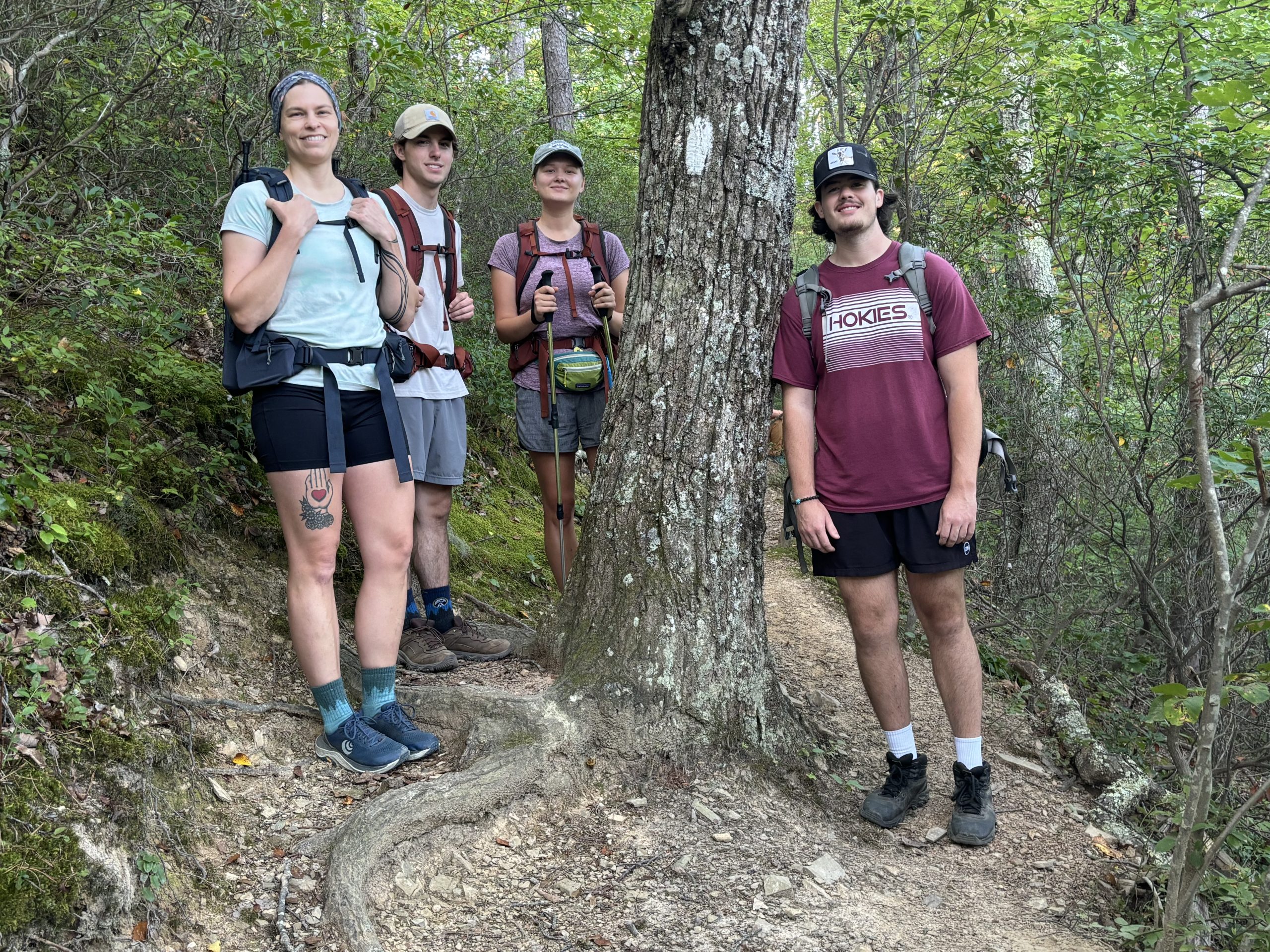 This team catalogs the Appalachian Trail's best views to protect them ...