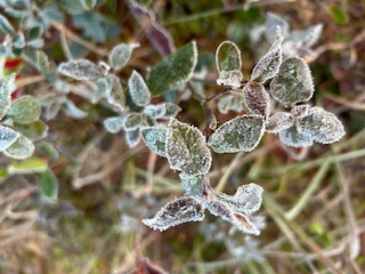 Parts of Virginia see coolest August temperatures in decades ...