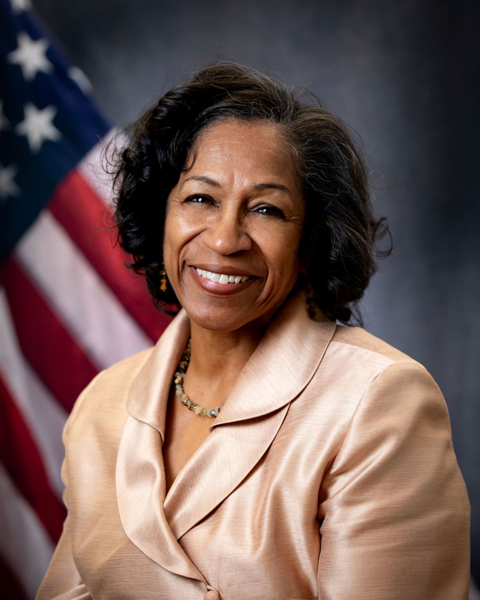 Roanoke 2024 general election voter guide: What to know