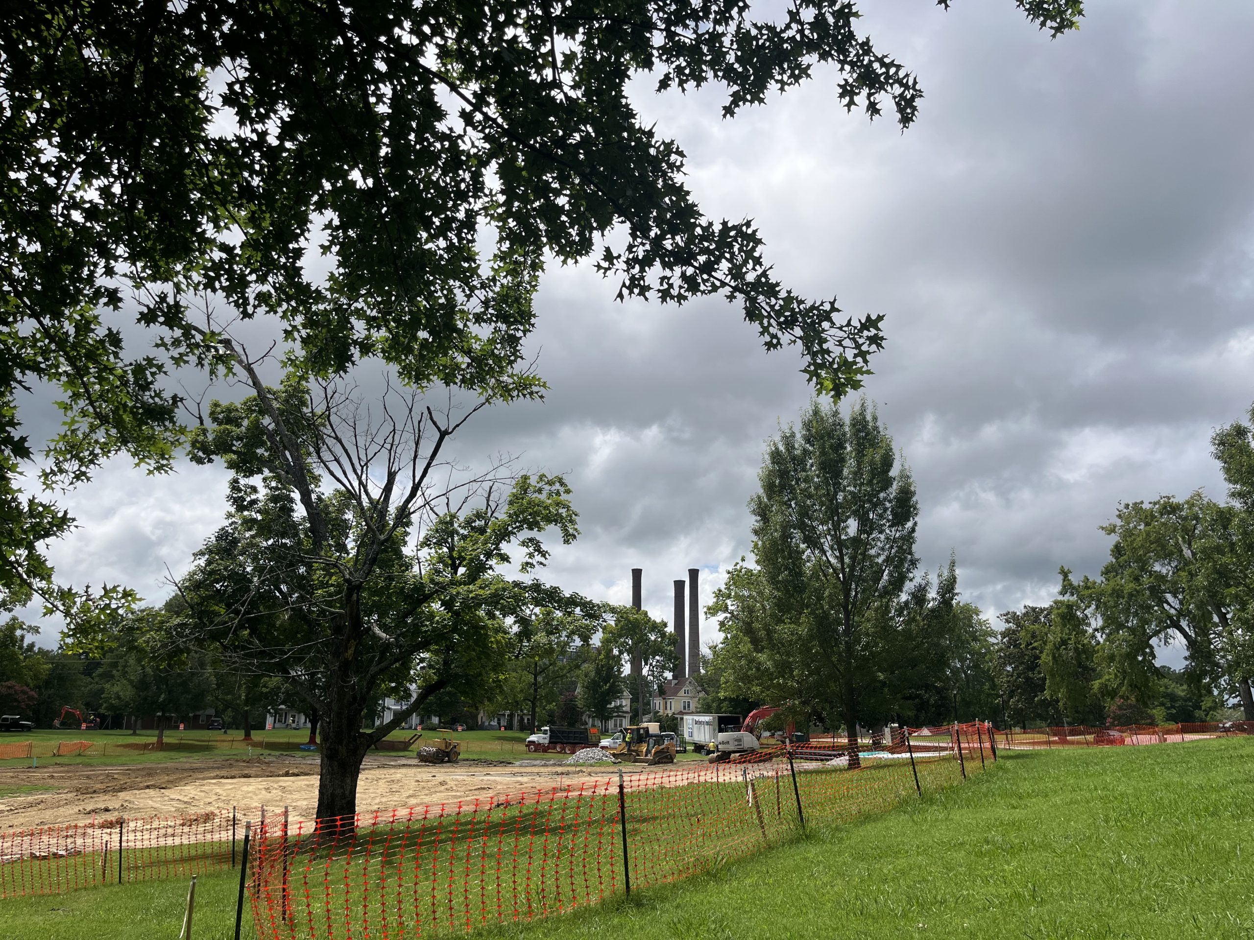 Danville among first Virginia cities to launch urban forestry campaign ...
