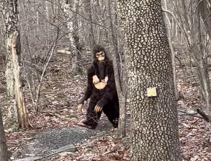 Recent Bigfoot sightings at Wintergreen were a hoax. But these men say ...
