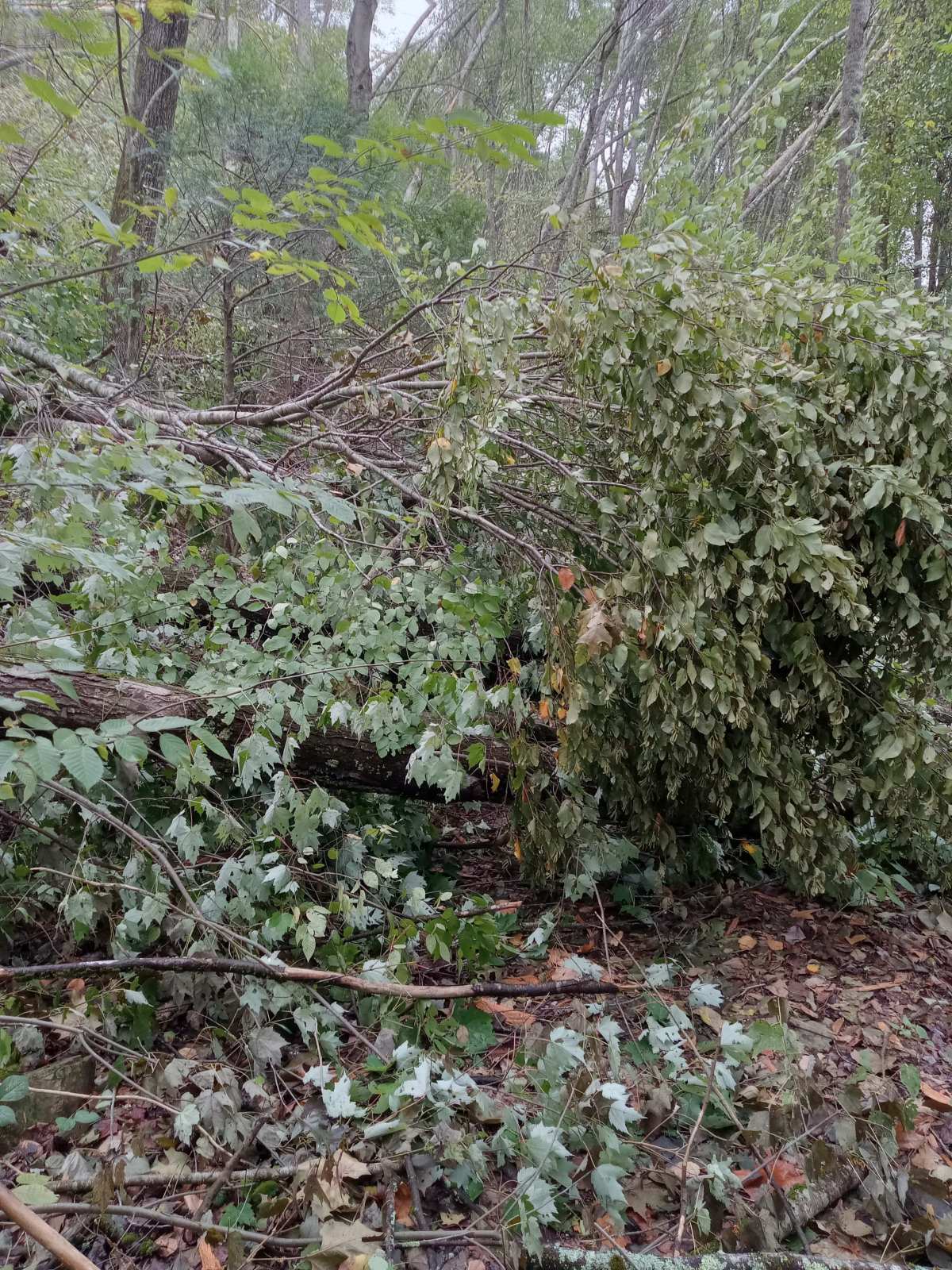 Hikers warned to stay off Appalachian Trail as damage from Hurricane ...