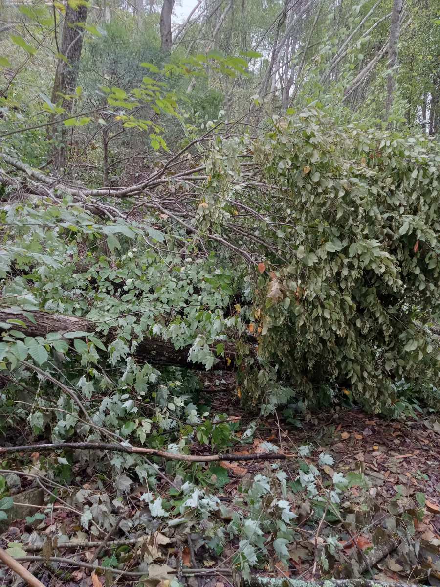 Hikers warned to stay off Appalachian Trail as damage from Hurricane ...
