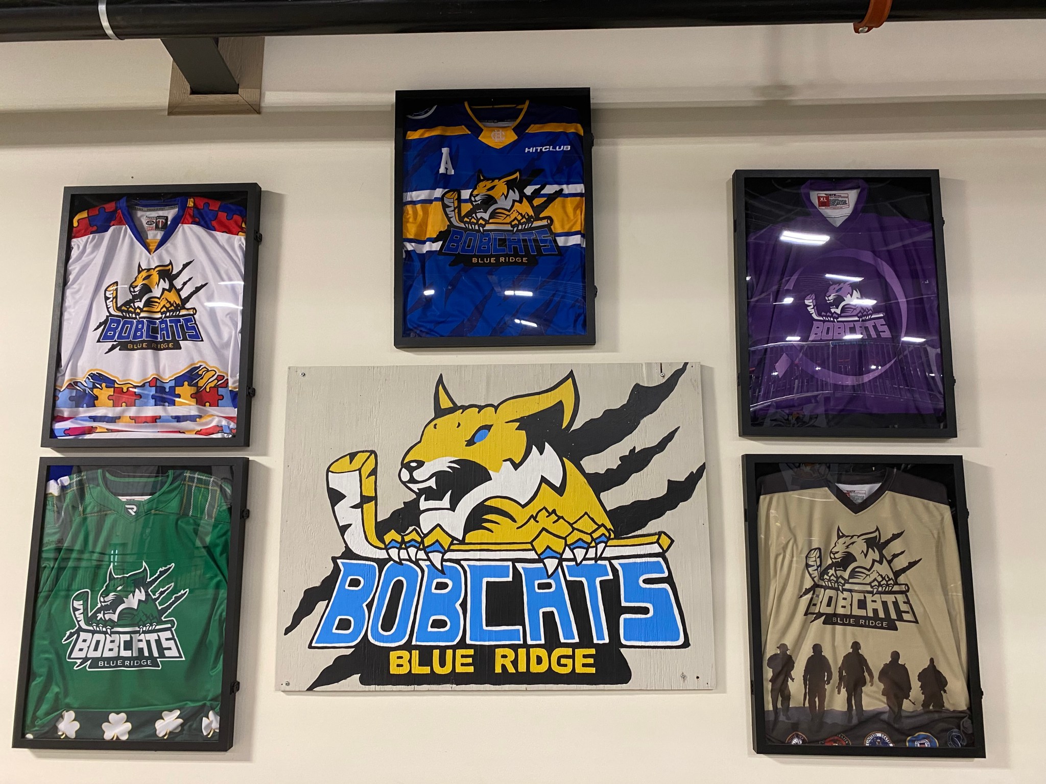 Wythe County's hockey arena has a new look - Cardinal News