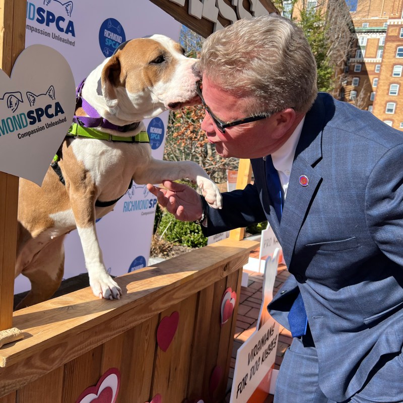 Cardinal News - News for Southwest & Southside Virginia