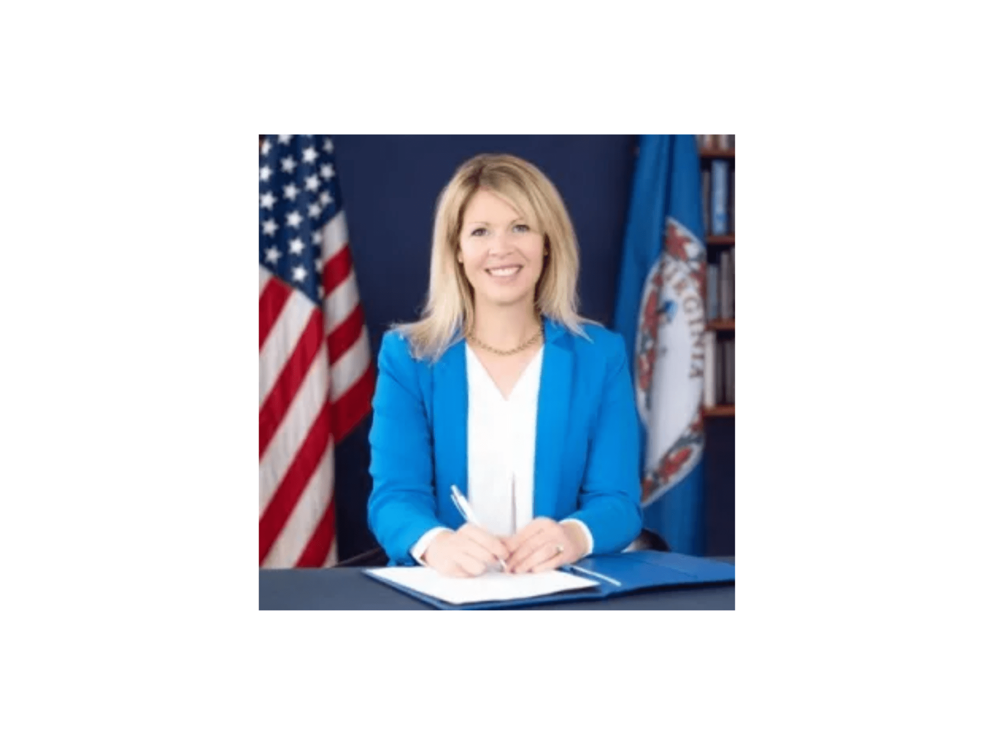 Meet the senator from Data Center Alley who stood up for rural Virginia ...