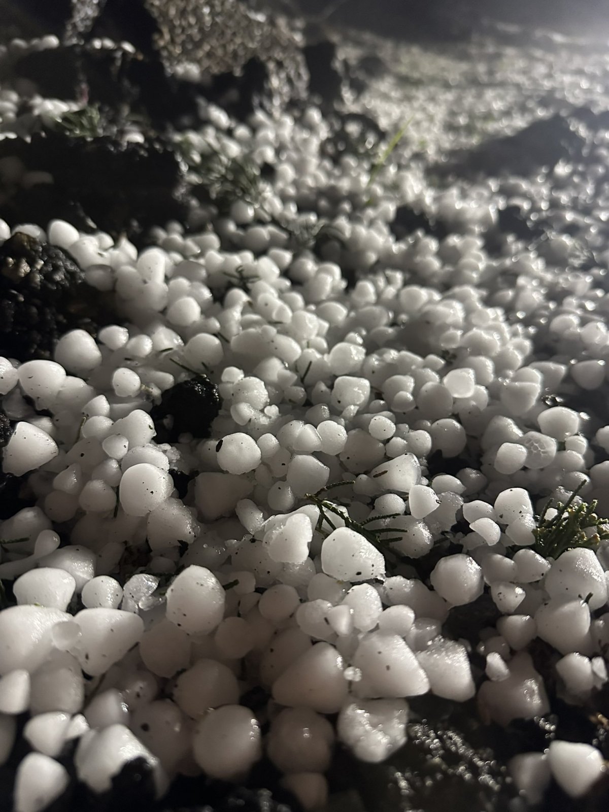 It’s been almost 90 and below 20 with snow and hail over the past ...