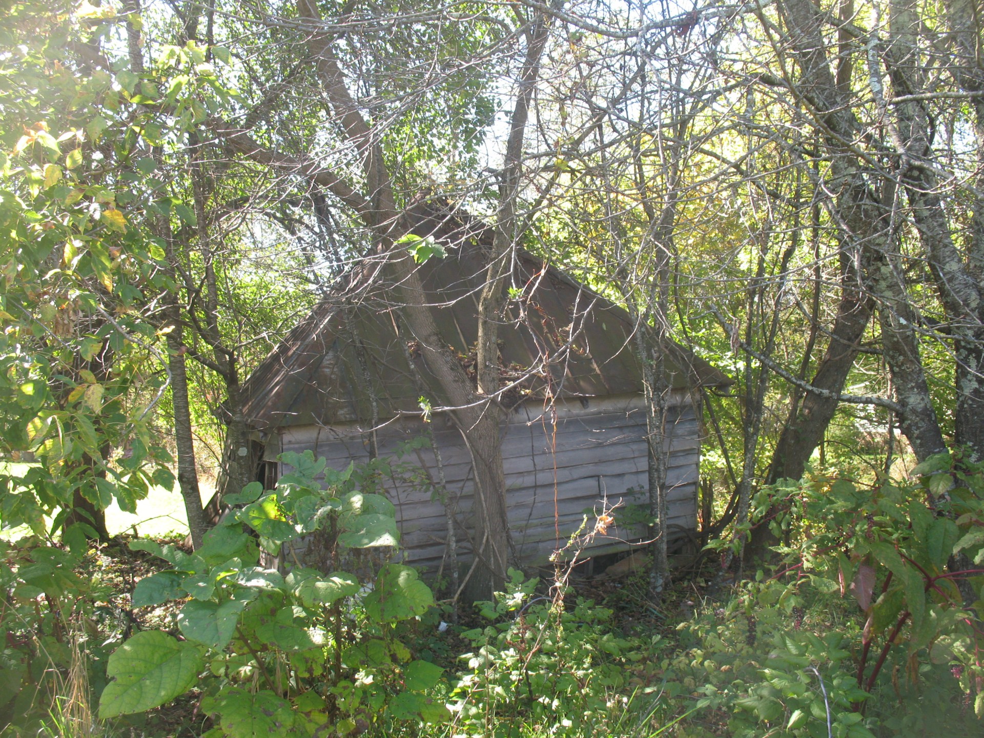 An architectural gem in Smyth County once was used to store farm ...