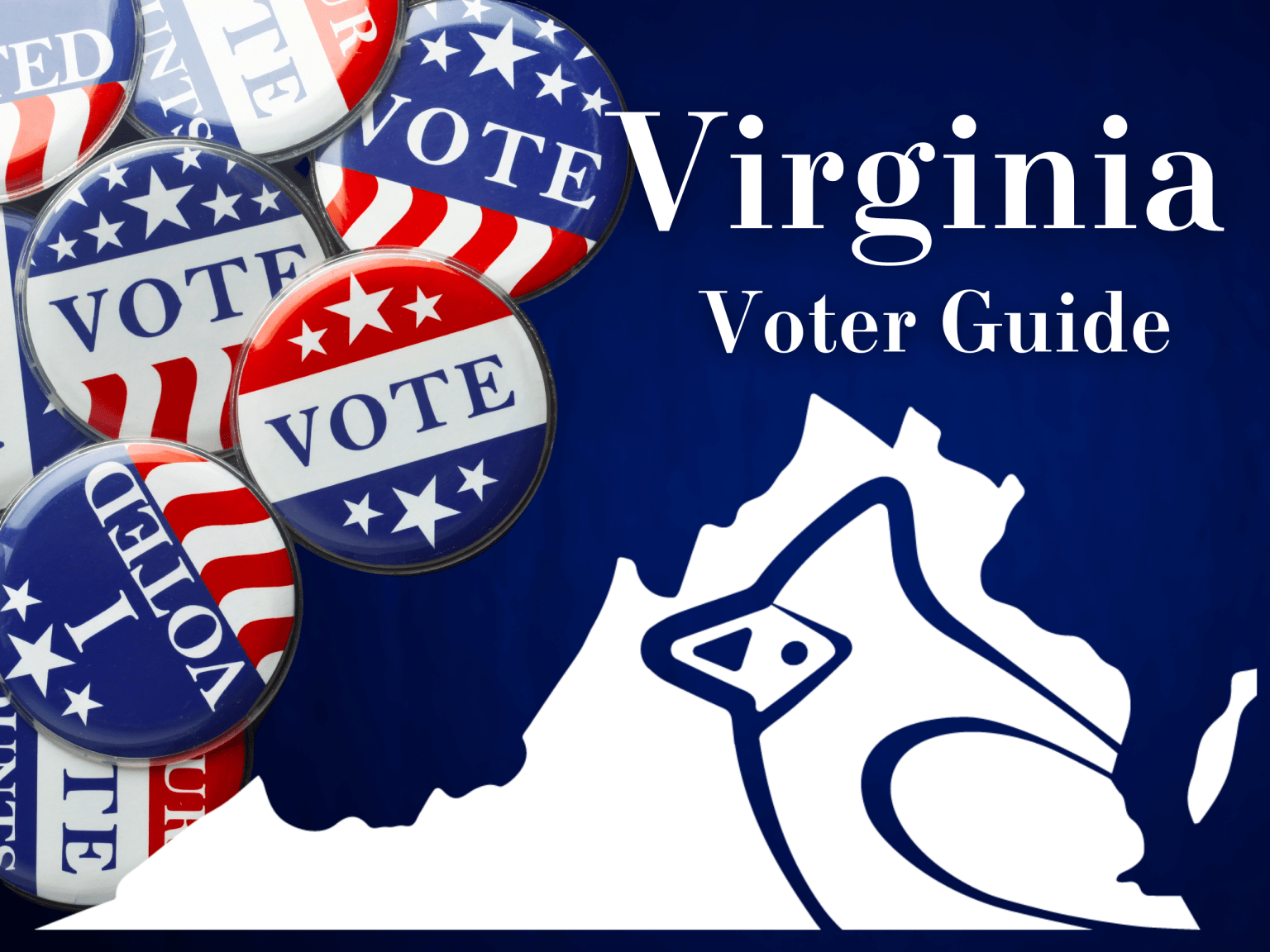 2025 Virginia Voter Guide - Cardinal News
